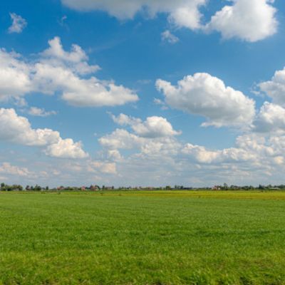 Escola Kids - Educação para Crianças, Conteúdo Infantil de Educação